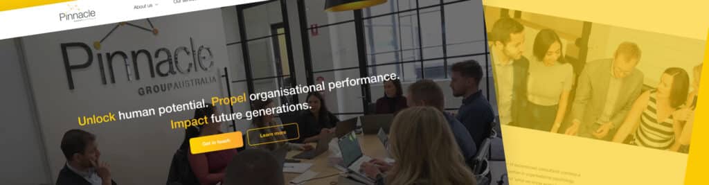 Portfolio: Pinnacle Group | SGD