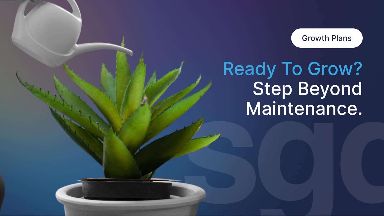 Website Growth Plans: Boost Your Business